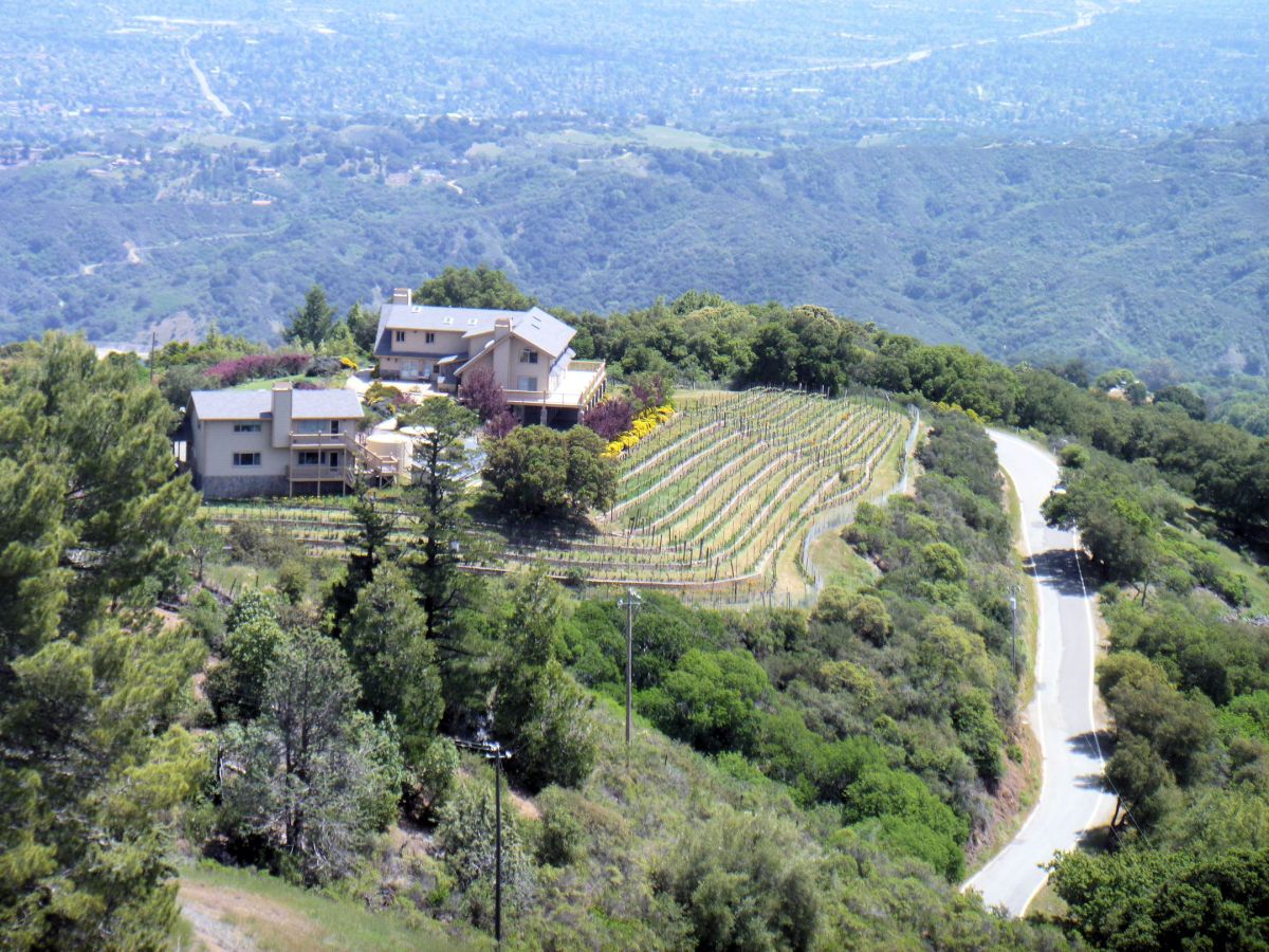 Rediscovering Ridge | Talk-A-Vino