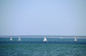 Leaving Cape Cod | Talk-A-Vino