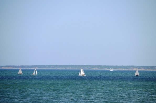 Leaving Cape Cod | Talk-A-Vino