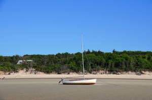 Leaving Cape Cod | Talk-A-Vino