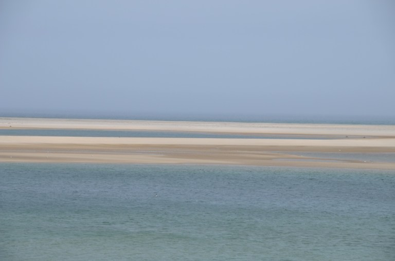 Leaving Cape Cod | Talk-A-Vino