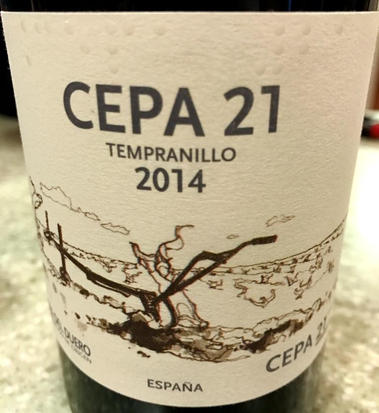One on One with Winemaker: José Moro of Bodegas Cepa 21 | Talk-A-Vino