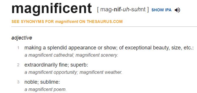 Magnificent definition | Talk-A-Vino