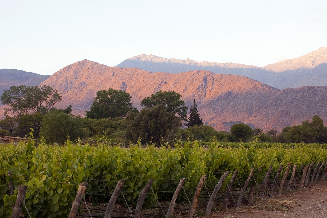 High Altitude Malbec for the World Malbec Day Celebration | Talk-A-Vino