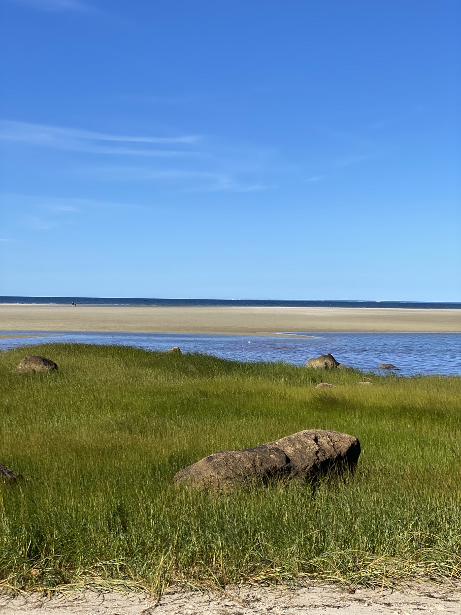 Cape Cod September 2020 (15) | Talk-A-Vino