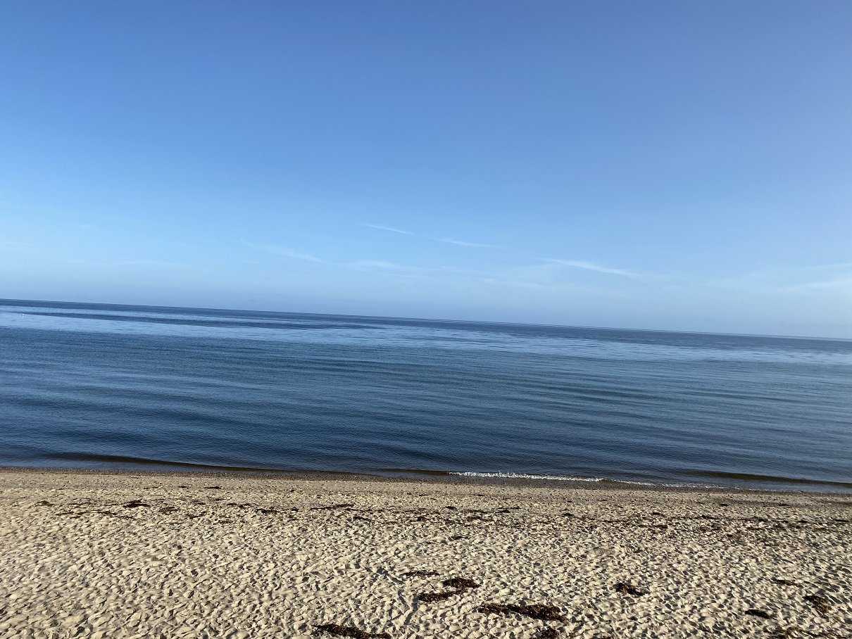 Cape Cod September 2020 (19) | Talk-A-Vino