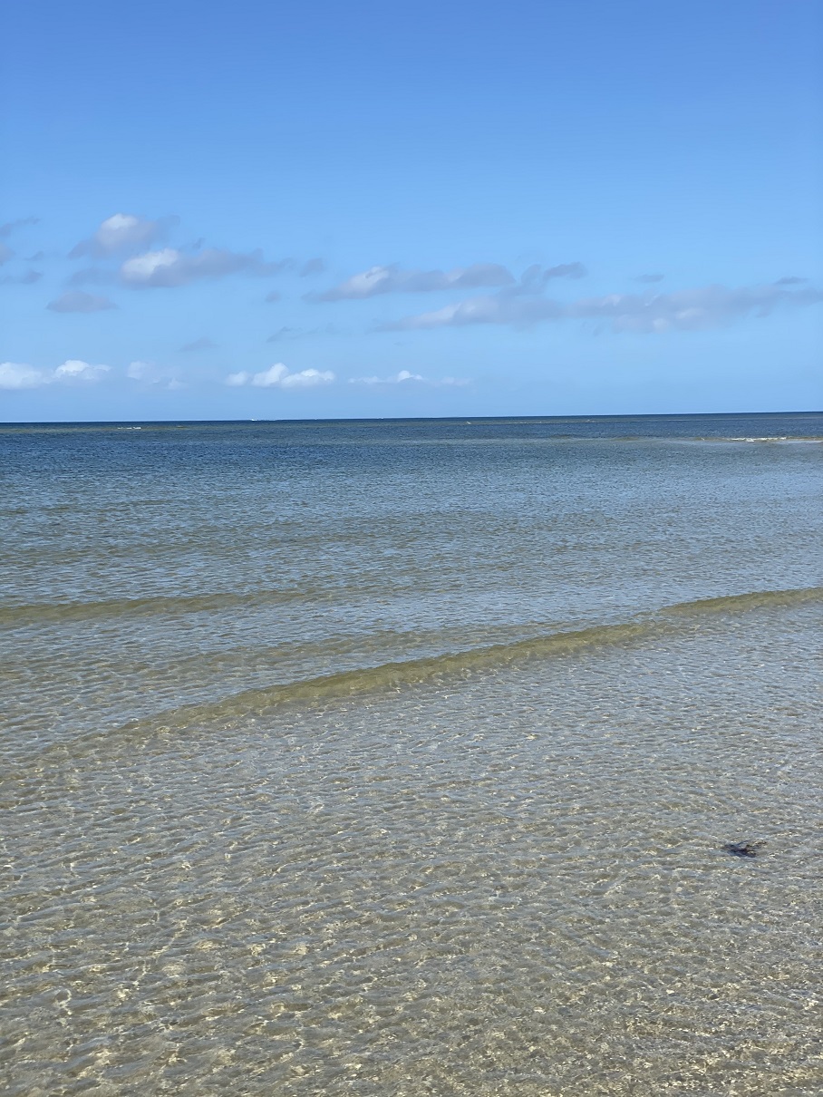 Cape Cod September 2020 (34) | Talk-A-Vino