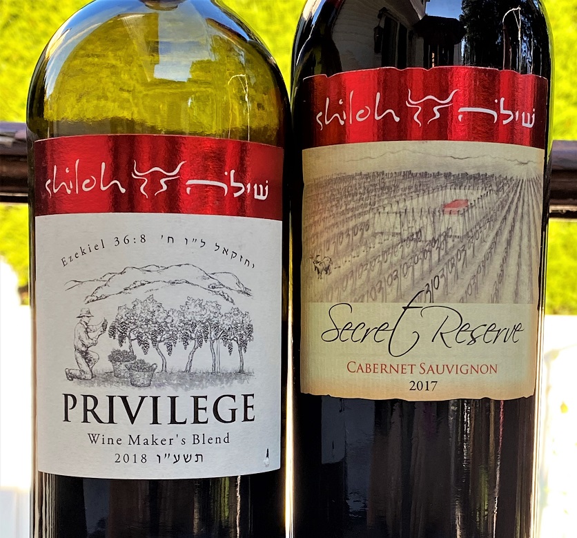 Beyond Kosher: Thinking of Israeli Wines | Talk-A-Vino